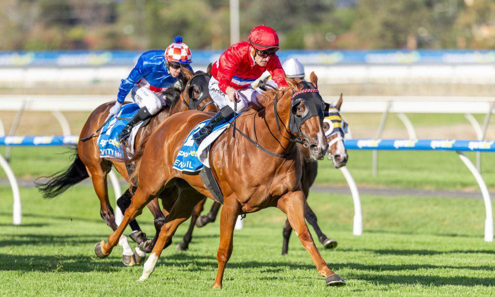 Race Stats | Glen Thompson Racing Results & Performance Insights